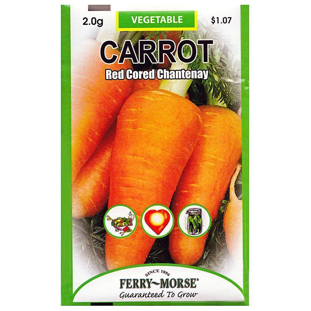 Ferry-Morse 2-Gram Carrot Chantenay Red-Cored Seed 8110 - The Home Depot