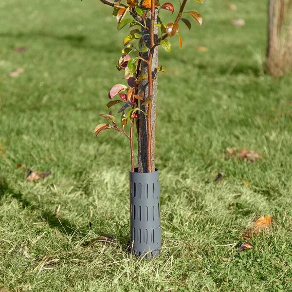 Bark Shield 10 Pack Plastic Tree Trunk Protectors - Easy Flexible ...