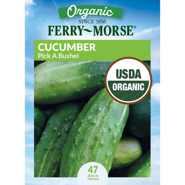 Ferry-Morse Organic Cucumber Pick a Bushel Hybrid Fruit Seeds 9830 ...