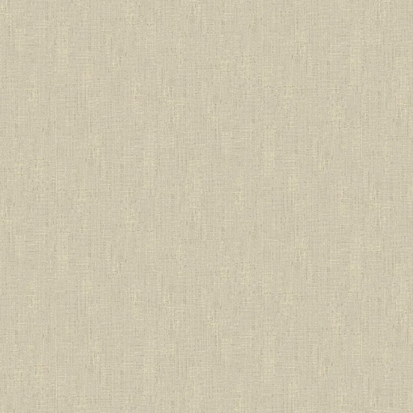 Designer Colors Beige Weathered Texture Shimmer Finish Non-Woven Non ...