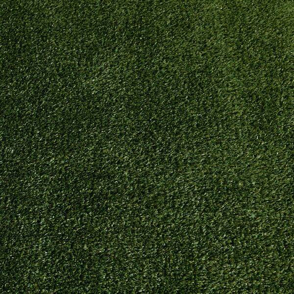 Dark Green Grass Texture