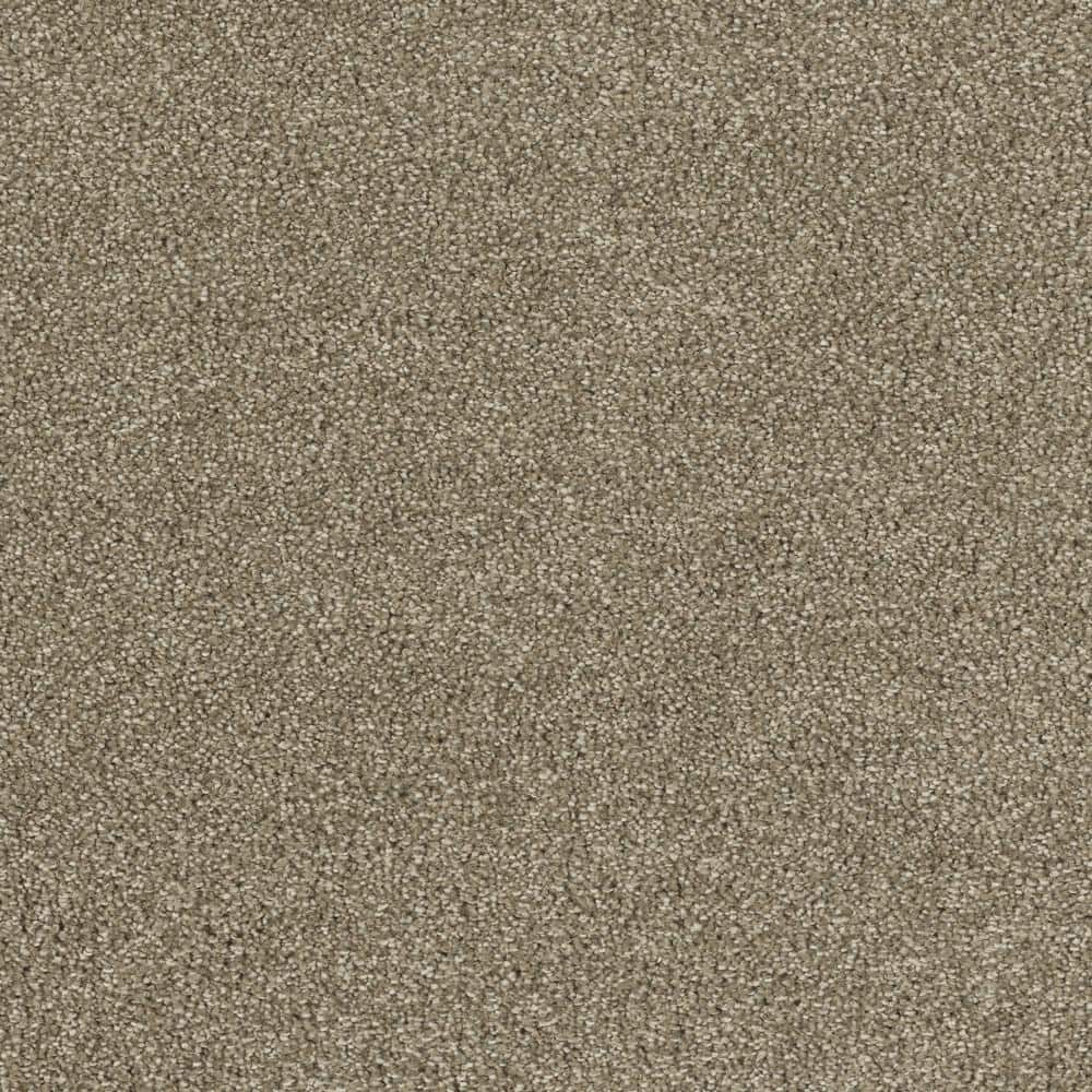 Reviews for Home Decorators Collection Moonlight - Dance - Beige 32 oz ...