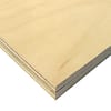 Tri-PLY 3/4 in. 4 ft. x 8 ft. Birch Hardwood Plywood 165921 - The Home ...
