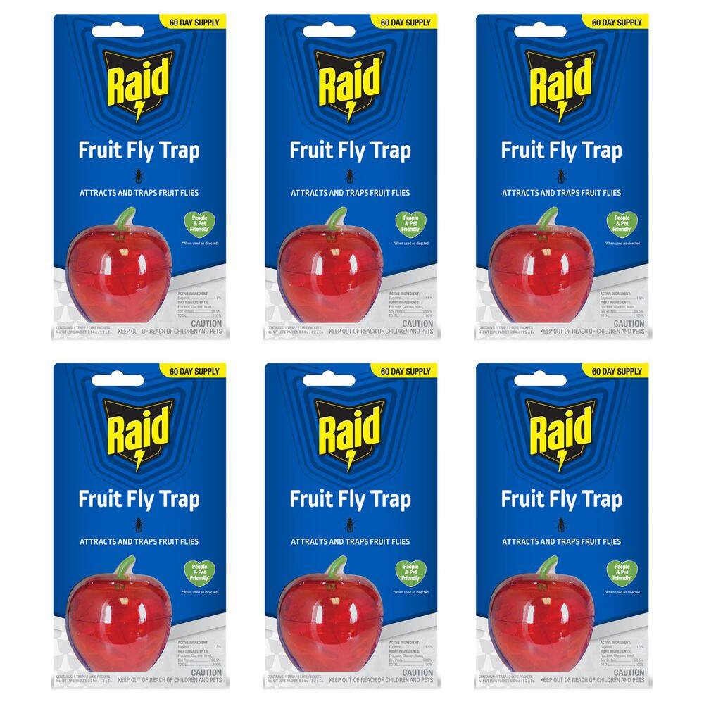 Raid Fruit Fly Apple Design Traps (6-Pack) FFTA-RAID-H - The Home Depot