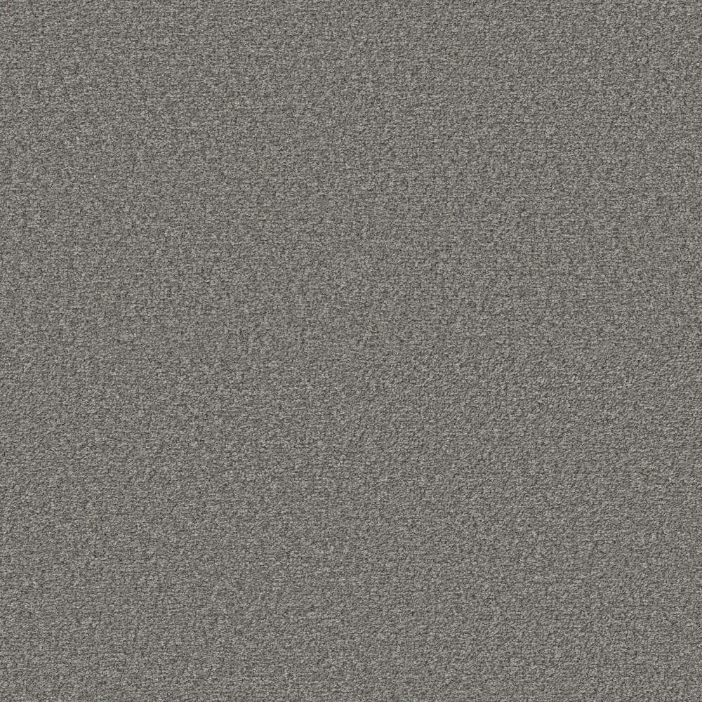 Home Decorators Collection 8 in. x 8 in. Texture Carpet Sample ...