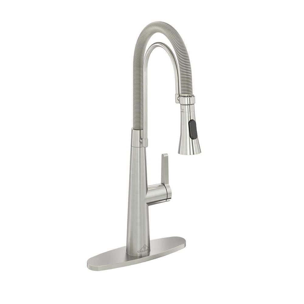 CASAINC Single-Handle Spring Neck Standard Kitchen Faucet with Dual ...
