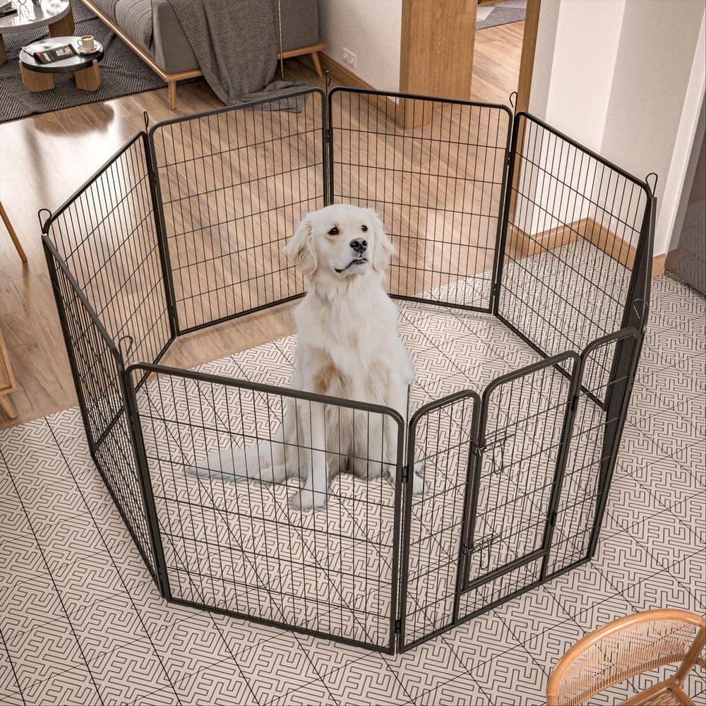 32 in. W x 40 in. H Black Steel Decorative Garden Fence, Heavy Duty Dog ...