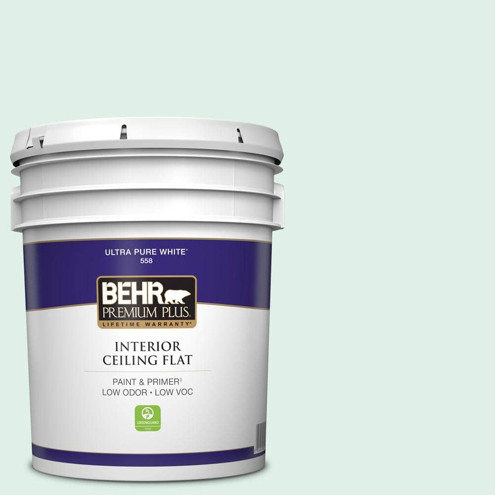 BEHR PREMIUM PLUS 5 gal. #490C-1 Ice Cube Ceiling Flat Interior Paint ...