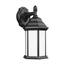 Generation Lighting Sevier 1-Light Black Outdoor Wall Lantern 8338751 ...