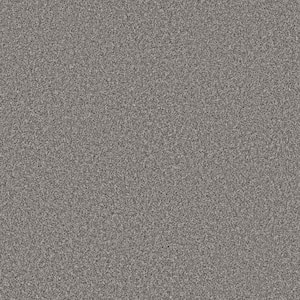 Home Decorators Collection 8 in. x 8 in. Texture Carpet Sample - Piece ...