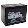 Basement Watchdog Maintenance Free (AGM) Standby Battery BW-27AGM - The ...