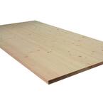 Allwood 1 in. x 24 in. x 36 in. Pine Project Panel with Routed Edges on ...