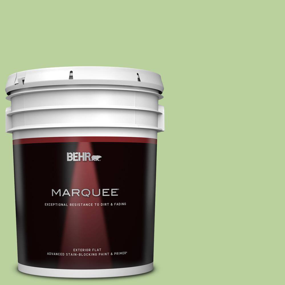BEHR MARQUEE 5 gal. #P380-4 Four Leaf Clover Flat Exterior Paint ...