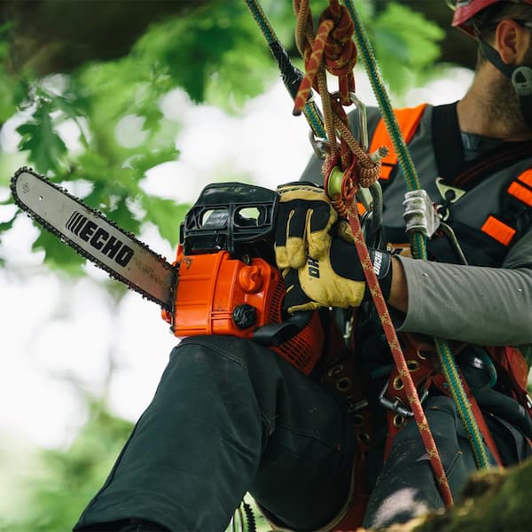 Best 16 inch gas chainsaw store