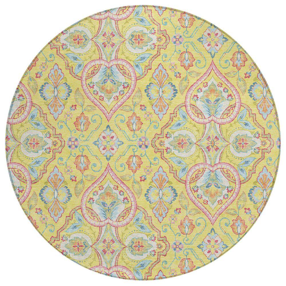 Addison Rugs Chantille Machine Washable Indoor/Outdoor Abstract ACN2207 ...