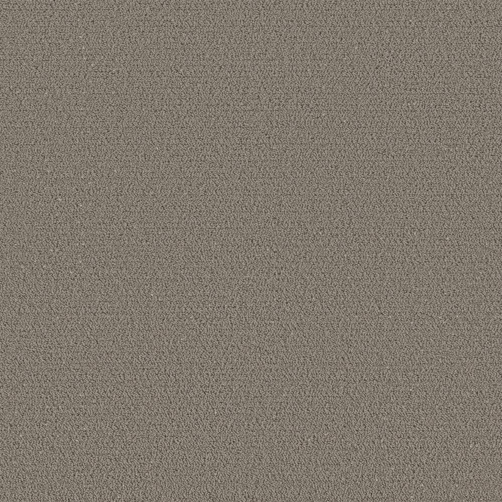 Lifeproof 8 in. x 8 in. Pattern Carpet Sample - Night Owl -Color Tarmac ...