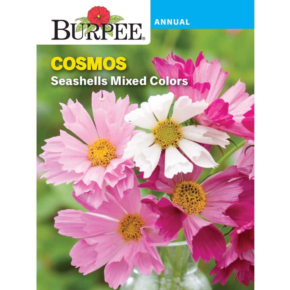 Burpee Cosmos Seashells Mixed Colors Flower Seed 36396 - The Home Depot