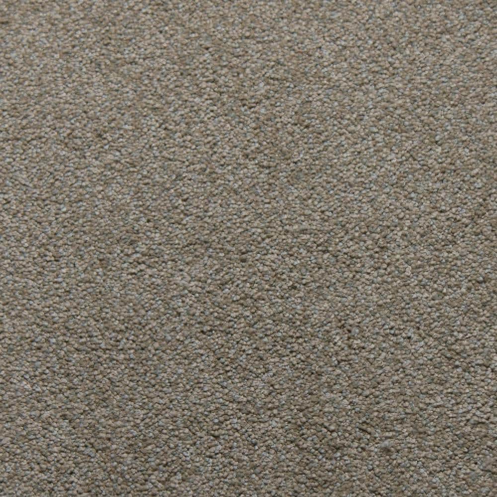 Home Decorators Collection 8 in. x 8 in. Texture Carpet Sample - Sweet ...
