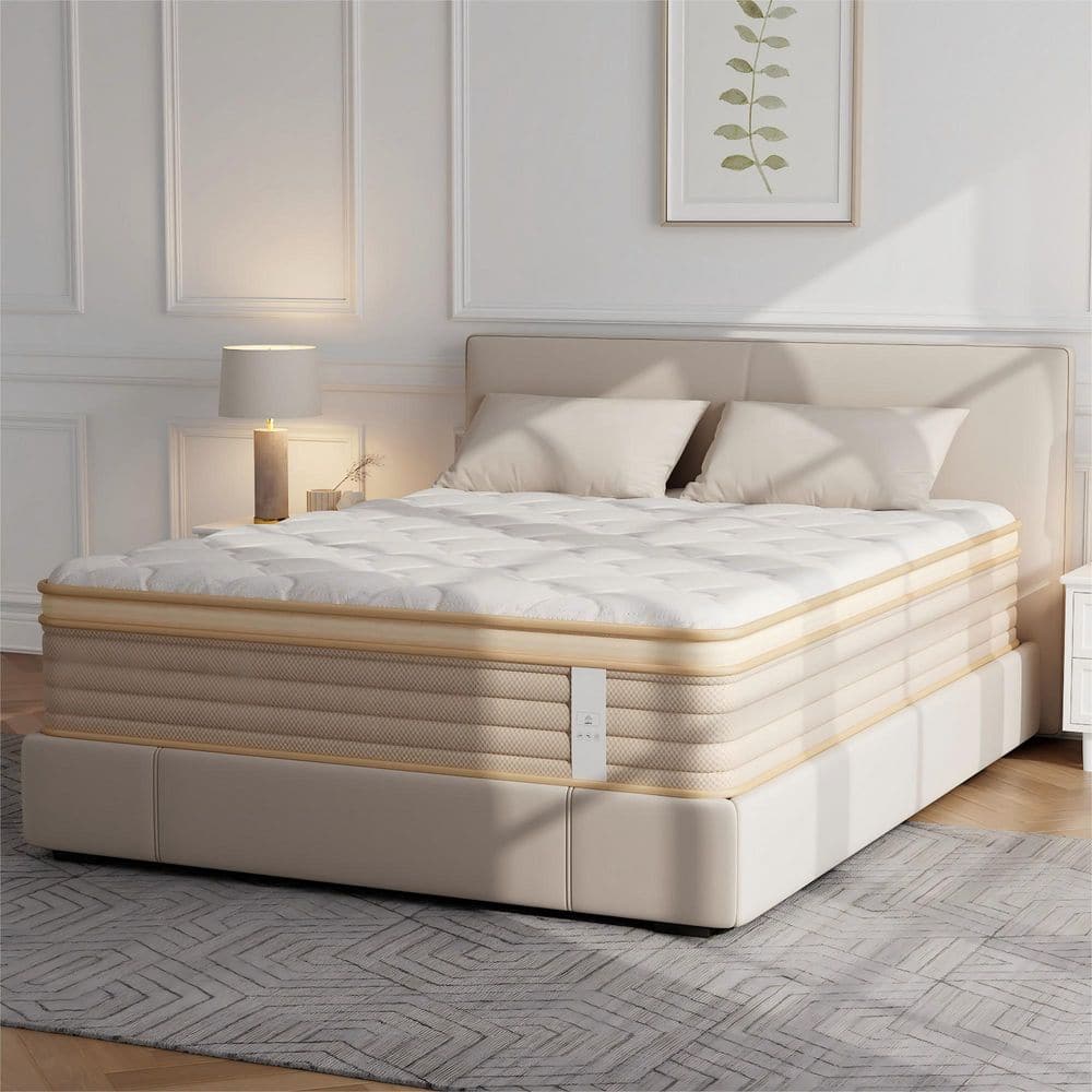 Spmou Queen Medium Hybrid 12 in. Bed-in-a-Box Mattress-Advanced Comfort ...