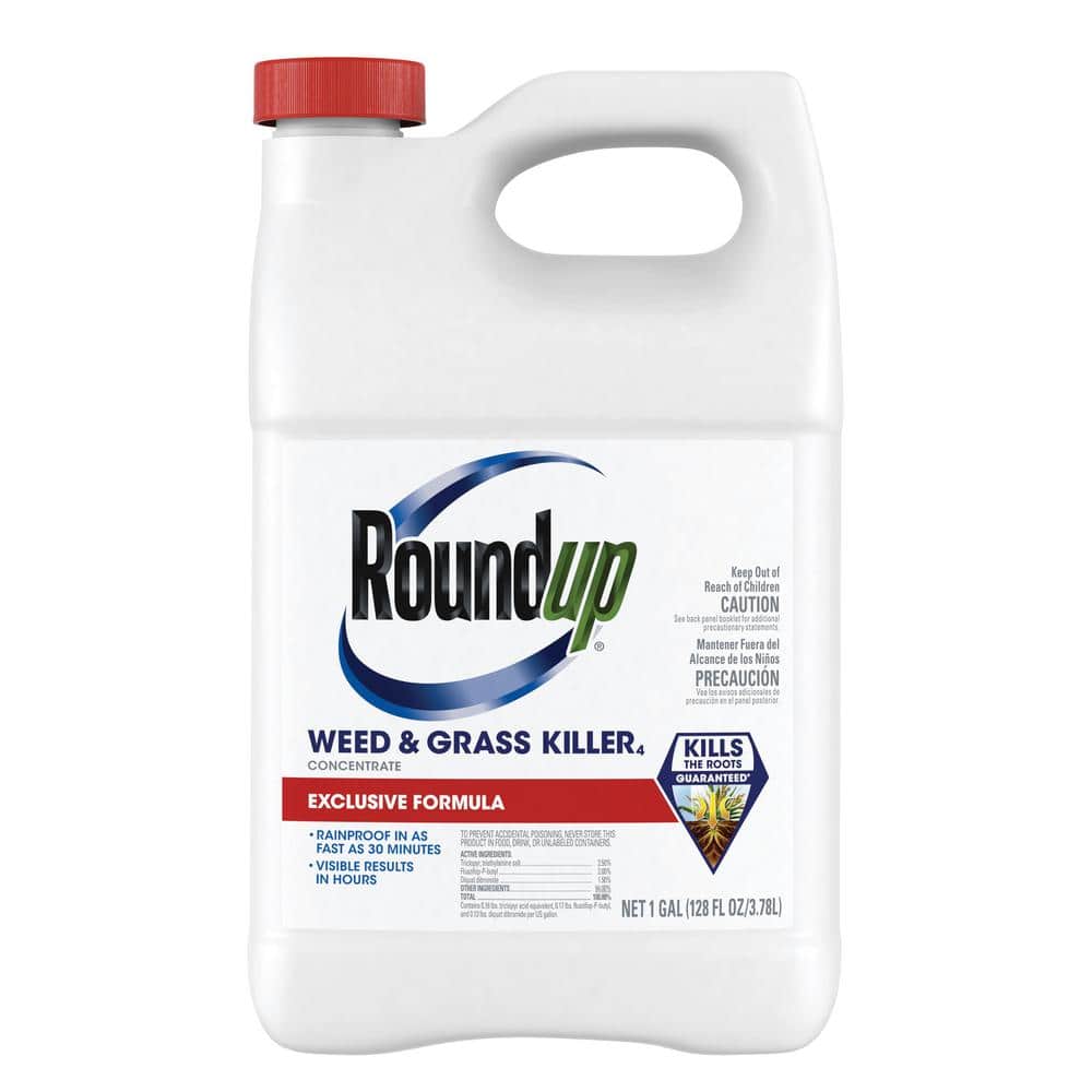 Roundup 1 Gal. Weed & Grass Killer4 Concentrate, Use In and Around ...