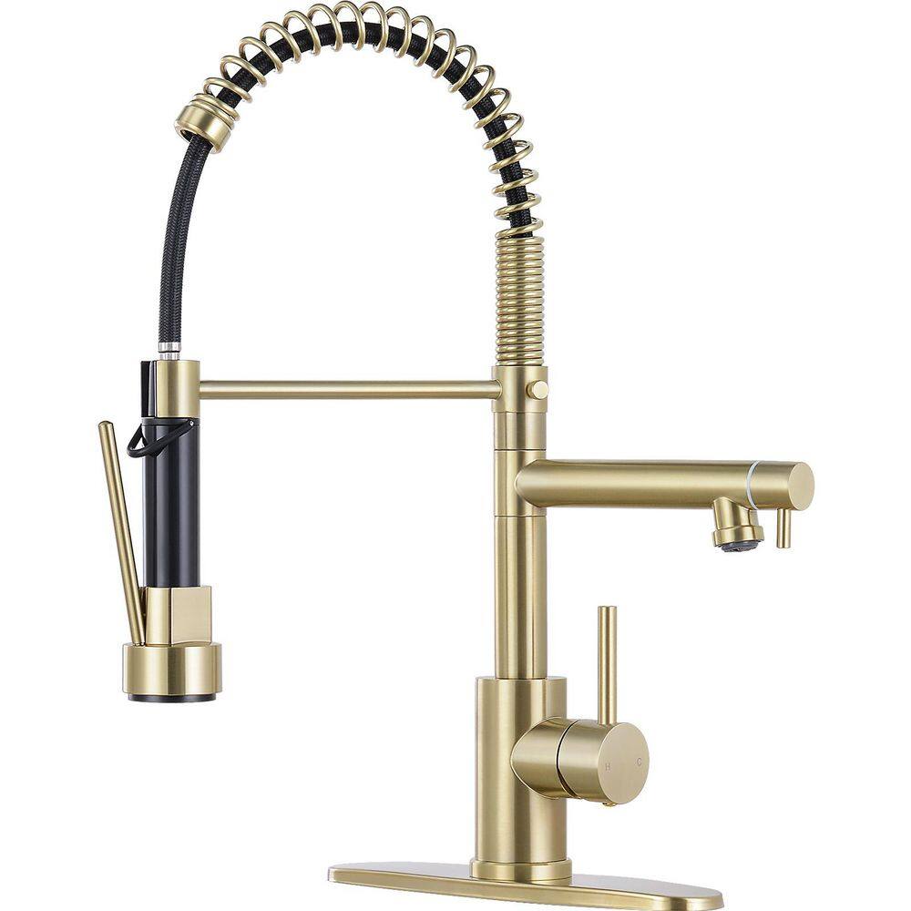 AKLFGN Single Handle Pull Down Sprayer Kitchen Faucet 360° Spout Swivel ...