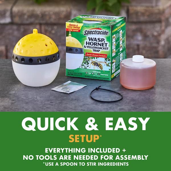 Spectracide Wasp, Hornet and Yellow Jacket Canister Insect Trap (1 ...