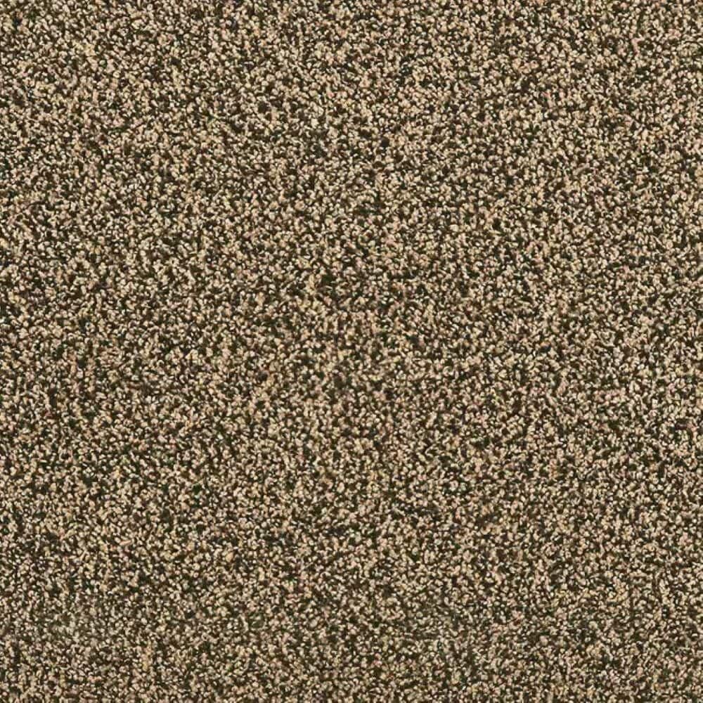 TrafficMaster 8 in. x 8 in. Texture Carpet Sample-Whisk & Whimsy I ...