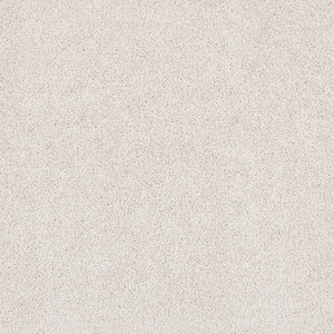 Mohawk 8 in. x 8 in. Texture Carpet Sample - Playful Moments I (M ...