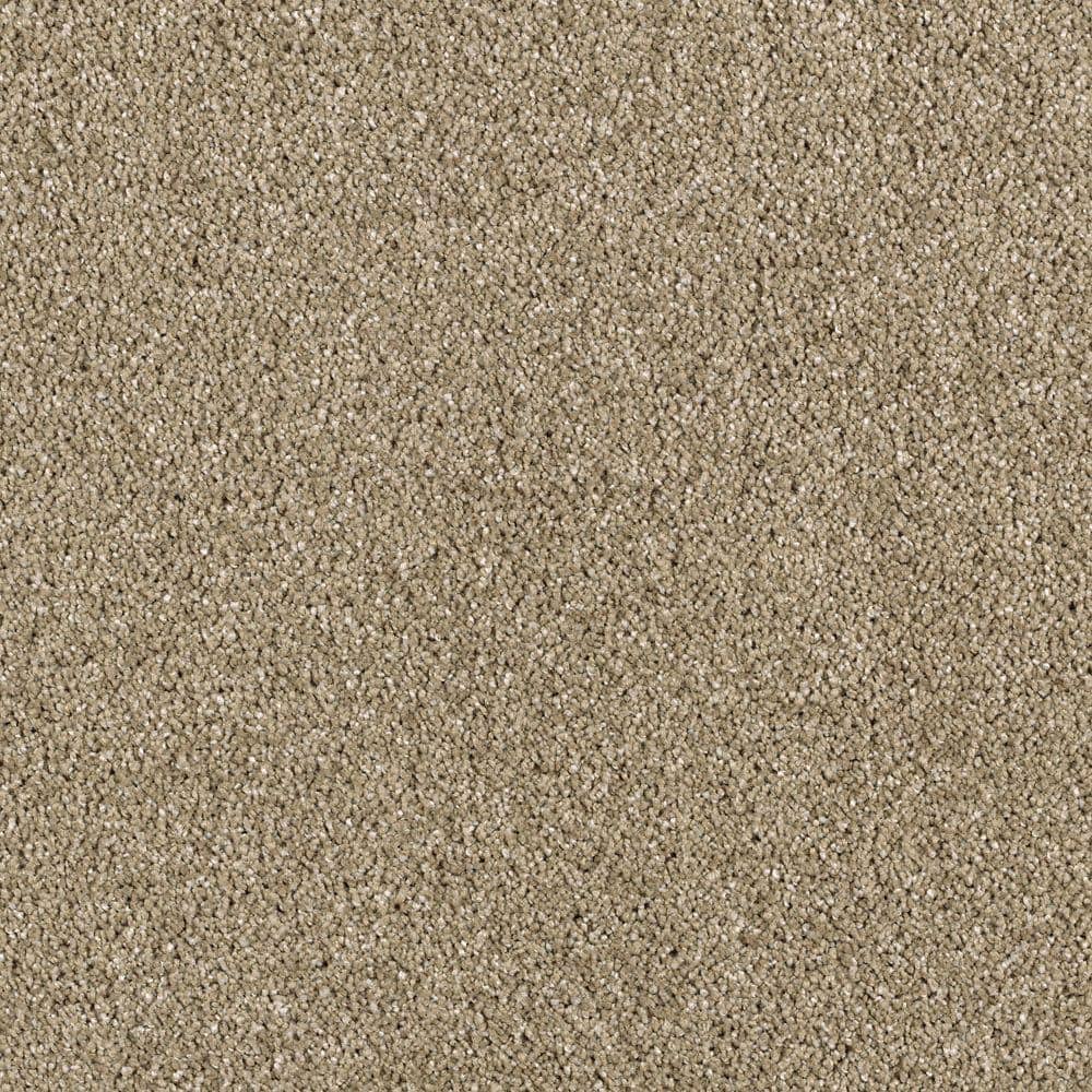 TrafficMaster Private Retreat II - Color Flaxen 12 ft. Carpet 0617D-25 ...