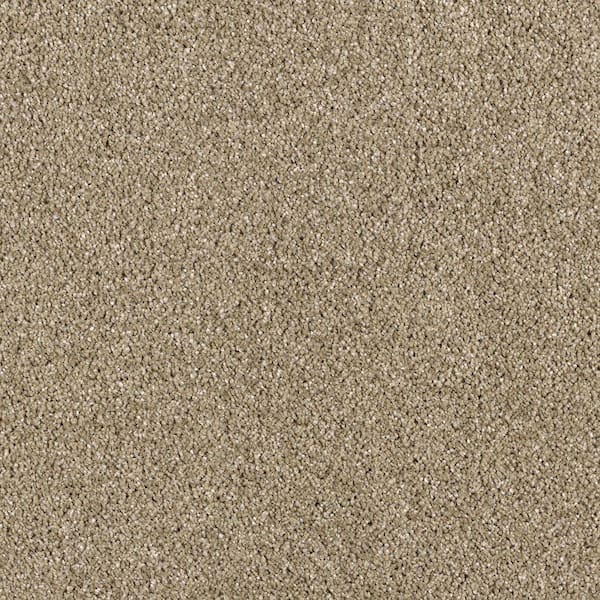 TrafficMaster Private Retreat II - Color Flaxen 12 ft. Carpet 0617D-25 ...