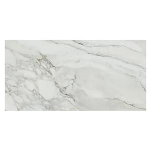 Apollo Tile Splendor Beige 11.81 in. x 23.62 in. Matte Porcelain ...