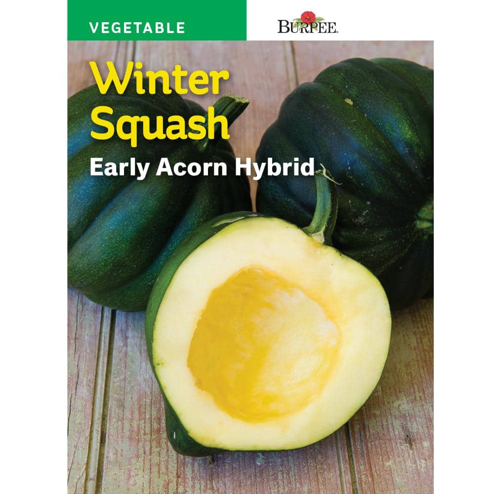 Burpee Early Acorn Hybrid Winter Squash Seed 69912 - The Home Depot