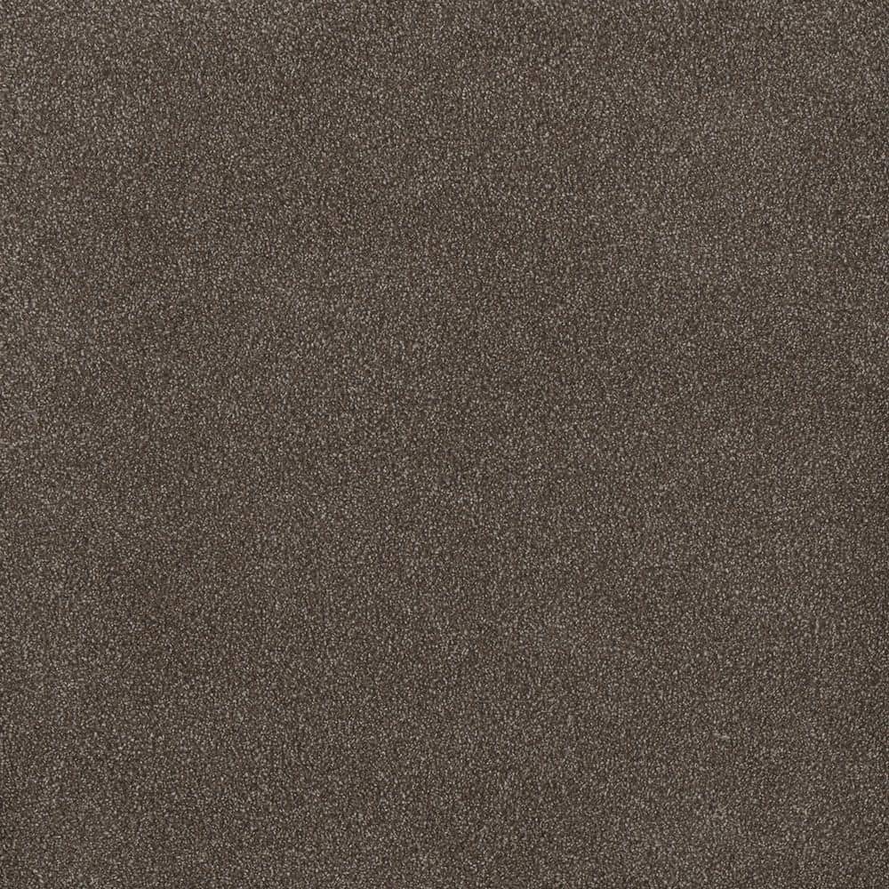 Home Decorators Collection 8 in. x 8 in. Texture Carpet Sample - First ...