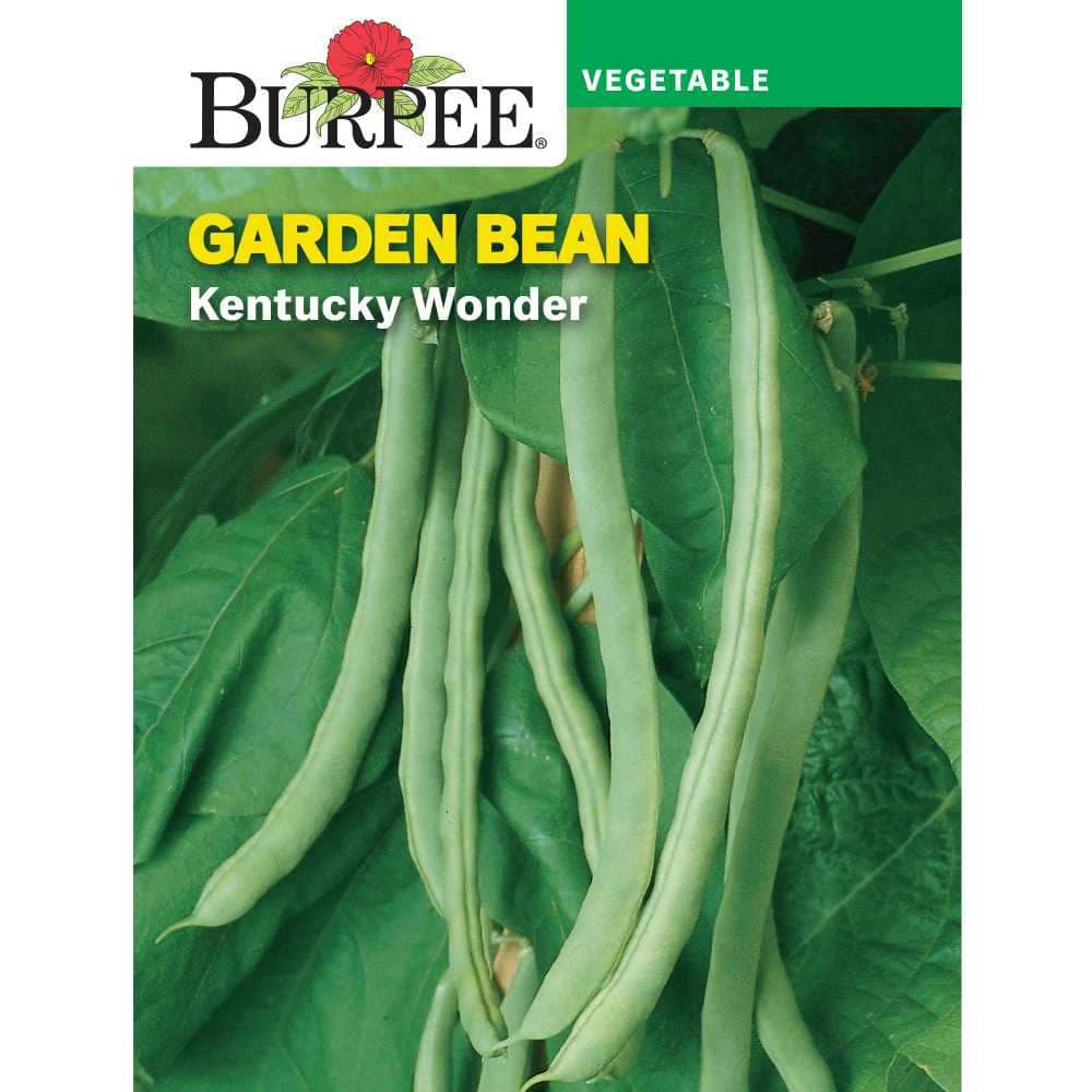 Burpee Garden Bean Pole Kentucky Wonder Heirloom Vegetabe Seed 65443 ...