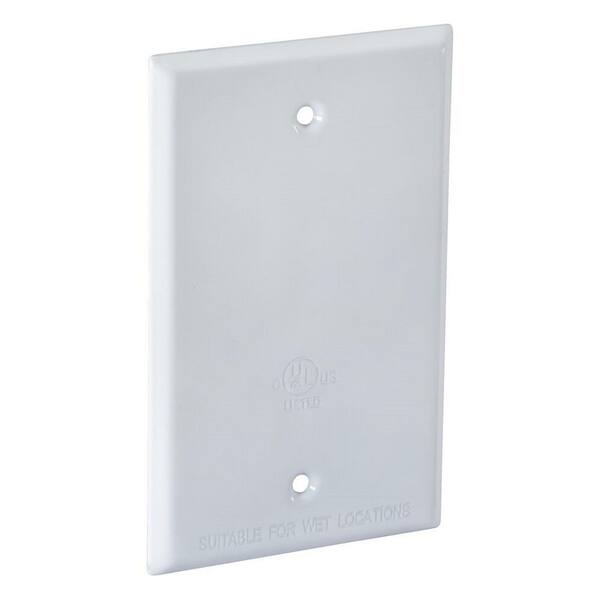 Southwire Weatherproof Single Gang White Blank Cover with Gasket (100 ...