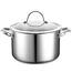 Cooks Standard Classic 12 qt. Stainless Steel Stock Pot with Lid 02520 ...