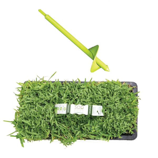Sod Pods St Augustine Seville Sodgrass Plugs 64 Countsp Power Planter Bundle Natural