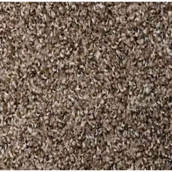 TrafficMaster 8 in. x 8 in. Texture Carpet Sample - Truly -Color Coffee ...