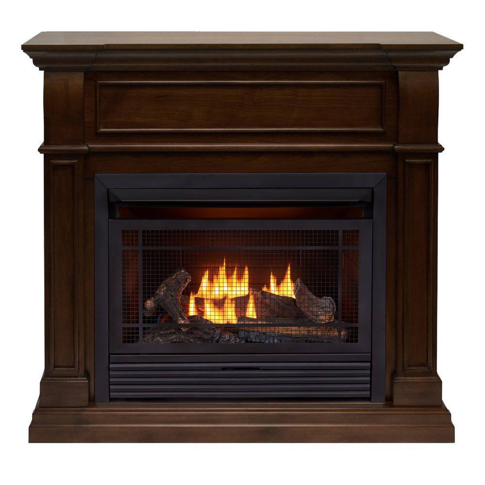 Duluth Forge Dual Fuel Ventless Gas Fireplace - 26,000 BTU, Remote ...