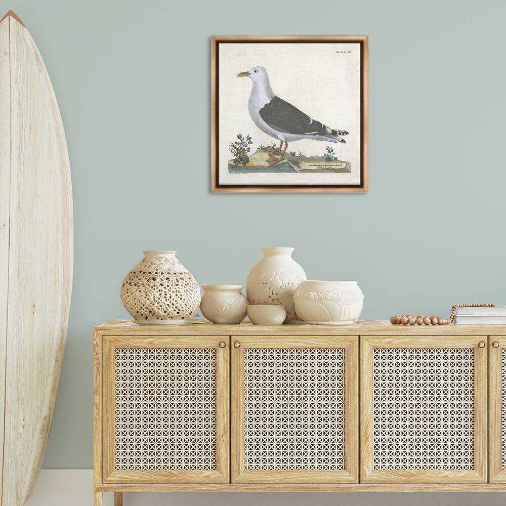 Stupell Industries Vintage Seagull Study Diagram by Phillipa Katz Brown ...