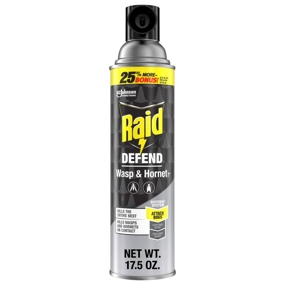 Raid Wasp and Hornet Killer, Stinging Bug Insecticide for Outdoor Use ...