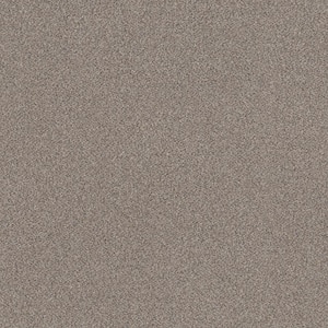Home Decorators Collection 8 in x 8 in. Texture Carpet Sample ...