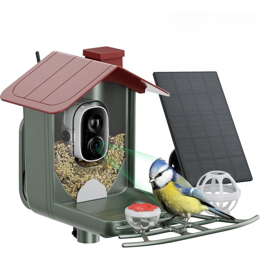 Oyezvary Bird Feeder with Camera Outdoor Solar 2K HD Live Video AI Recognition Visible Window ...