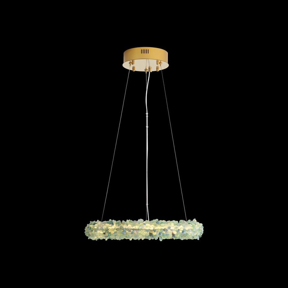 Golden Lighting Corallo 1-Light Dimmable Integrated LED Coral ...