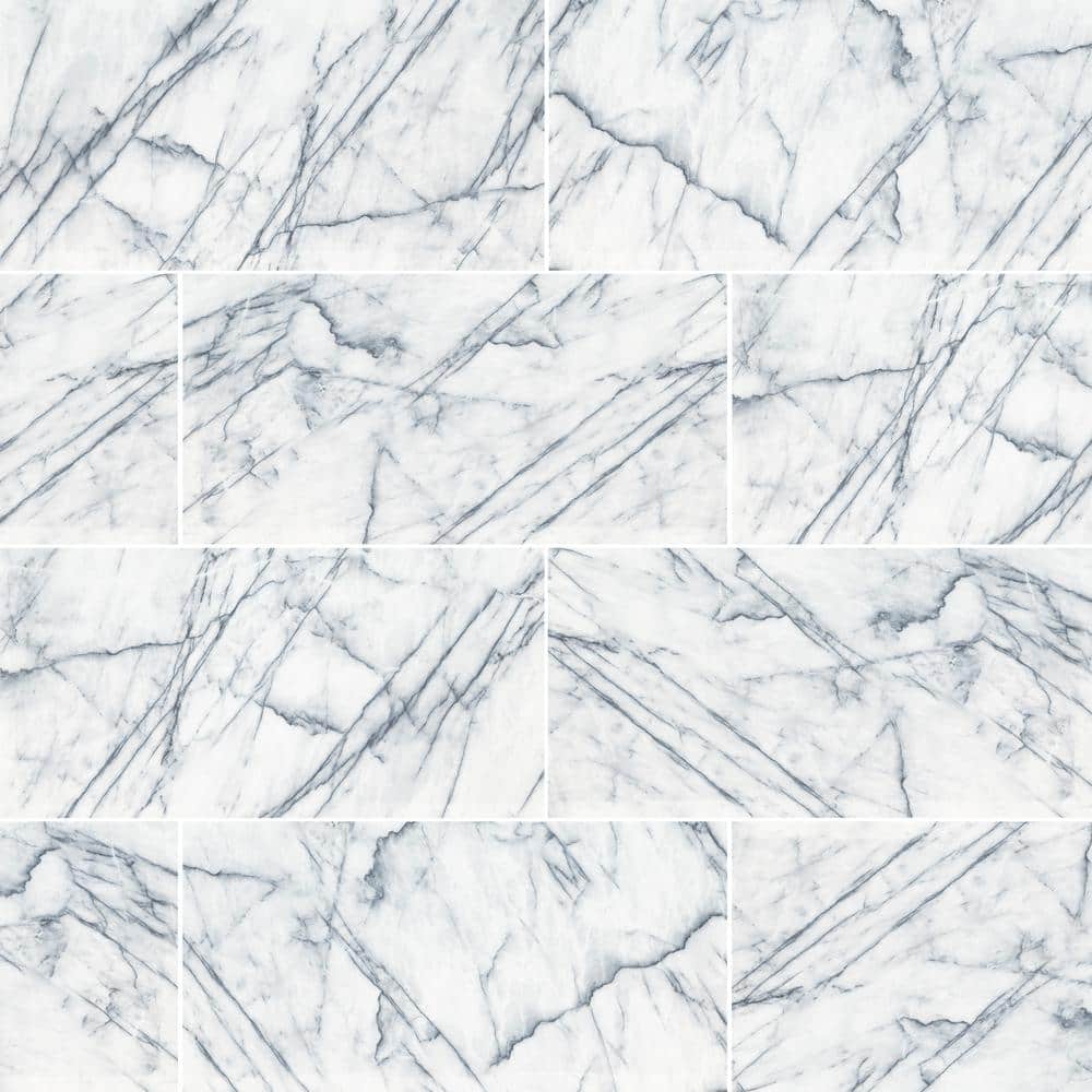 Reviews for MSI Raphael Gray 24 in. x 48 in. Polished Porcelain Marble ...