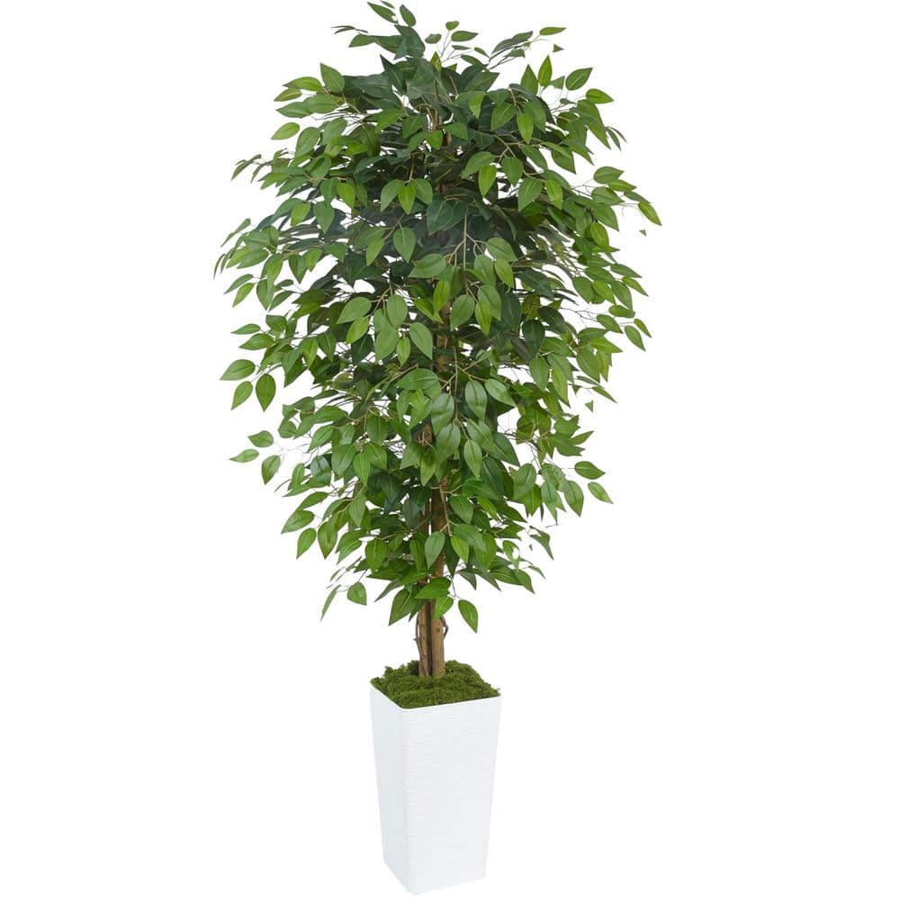 Afoxsos 72 in. Green Artificial Ficus Tree with Planter for Indoor and ...