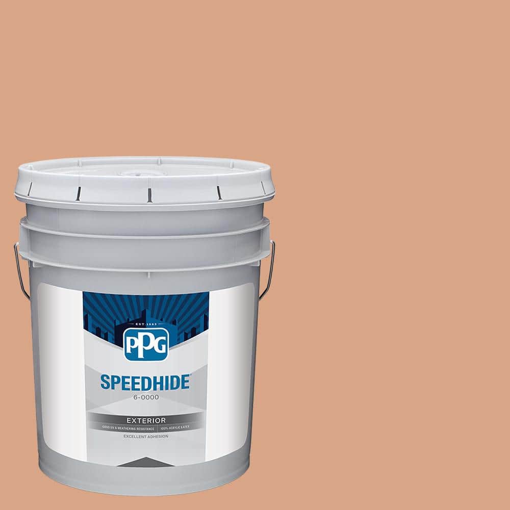Reviews for SPEEDHIDE 5 gal. Clay Fire PPG1070-4 Flat Exterior Paint ...