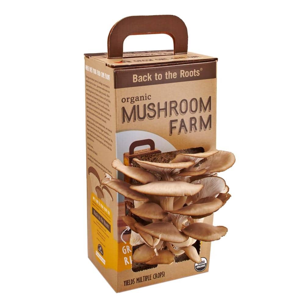 Reviews for Back to the Roots Mushroom Farm Kit | Pg 2 - The Home Depot