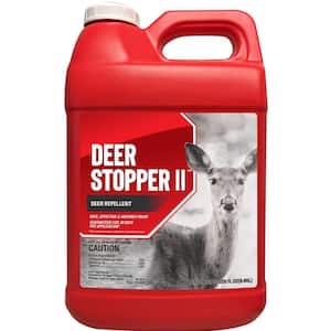 ANIMAL STOPPER Deer Stopper Animal Repellent, Gallon Ready-to-Use with ...