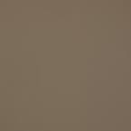 FENIX NTM 5 ft. x 12 ft. Laminate Sheet in Beige Arizona ...